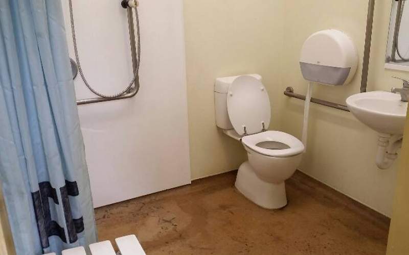 Ashhurst Domain Campground | Freedom/Basic Camp | New Zealand